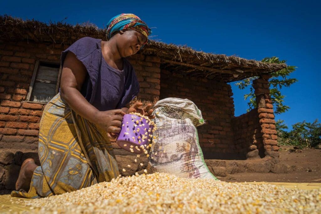 Climate Change, Food Security and Humanitarian Emergencies - World Food ...