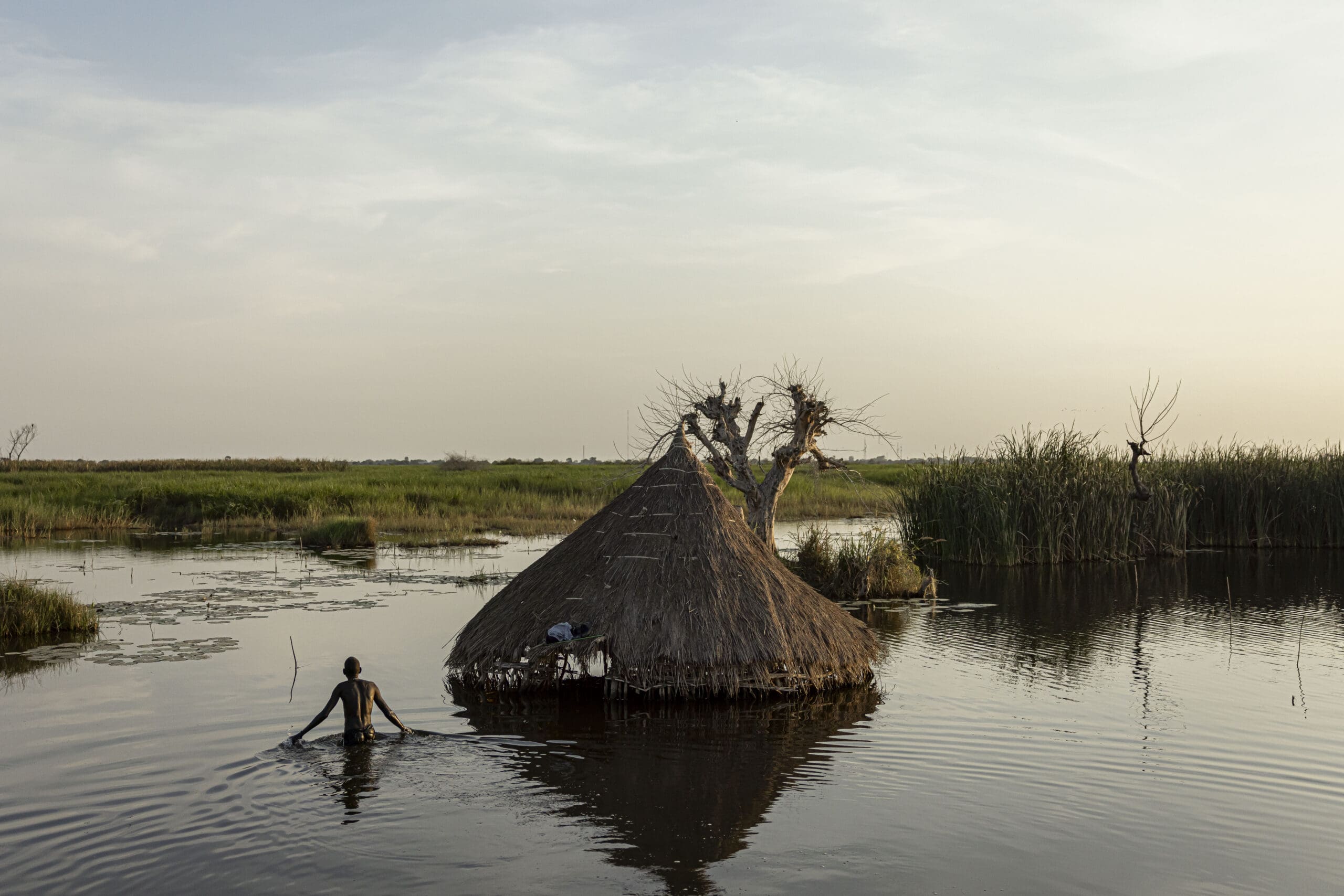 ⛈️ How Climate Change Is Causing World Hunger 🍽️