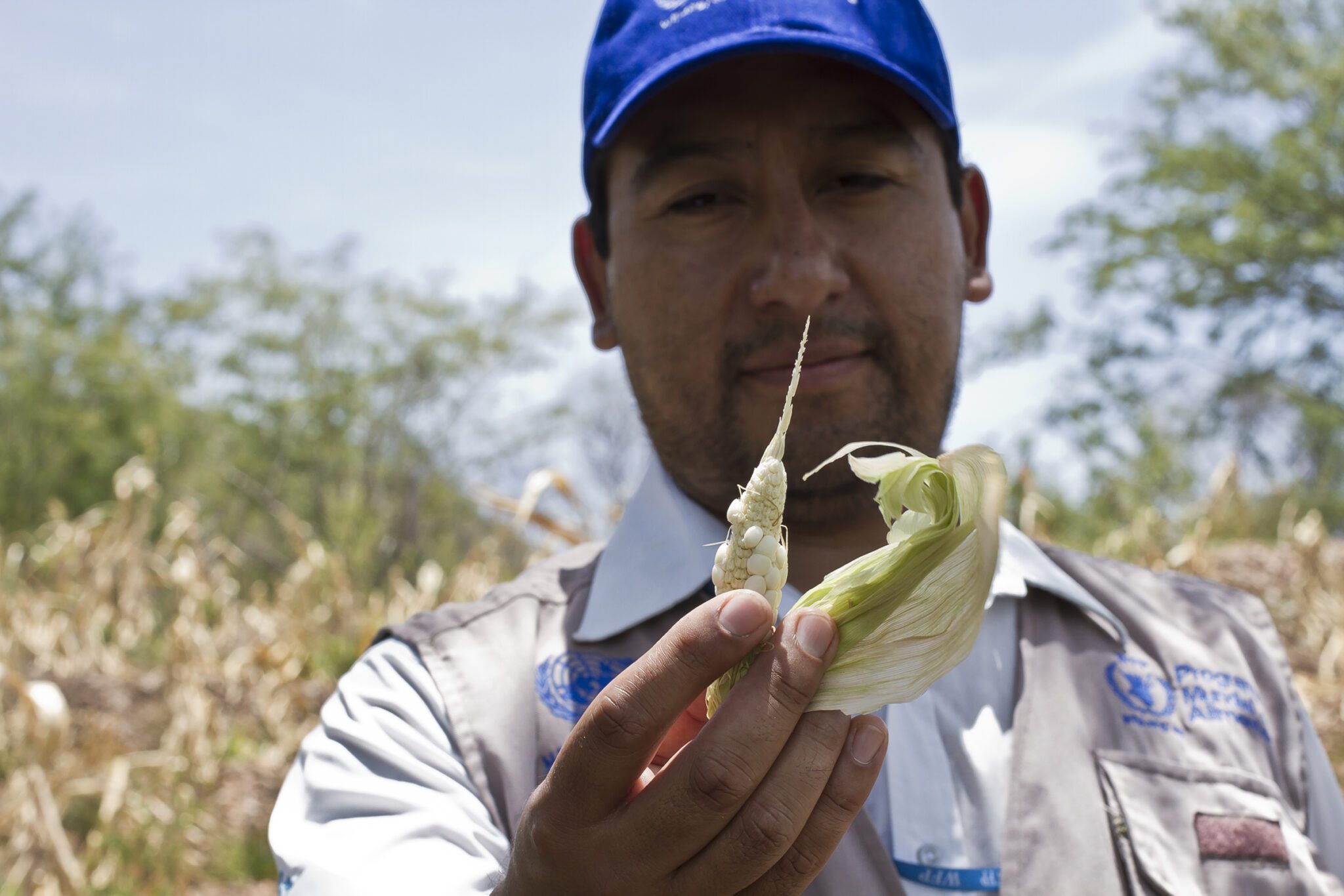 Erratic Weather Patterns in the Central American Dry Corridor Leave 1.4 ...