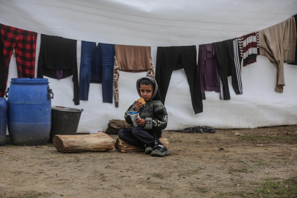 Famine Imminent in Northern Gaza, New Report Warns