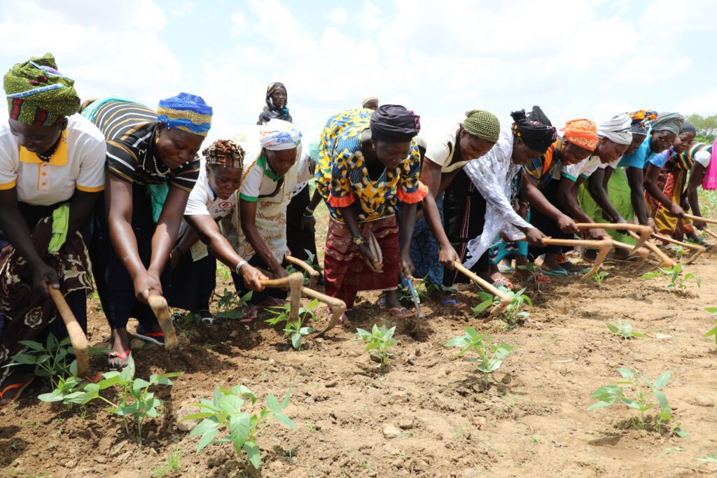 Securing Sustainable Food Systems Hinges on Gender Equality - World ...