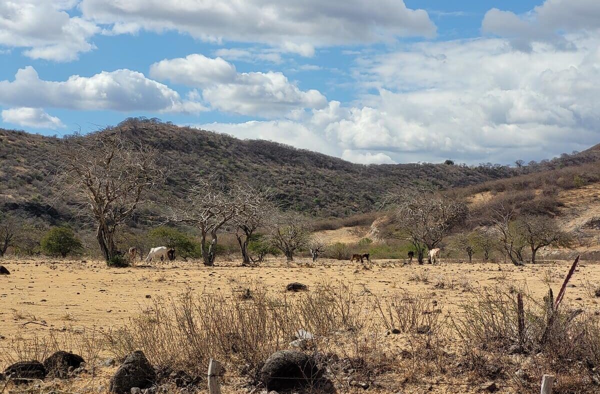The Dry Corridor - World Food Program USA