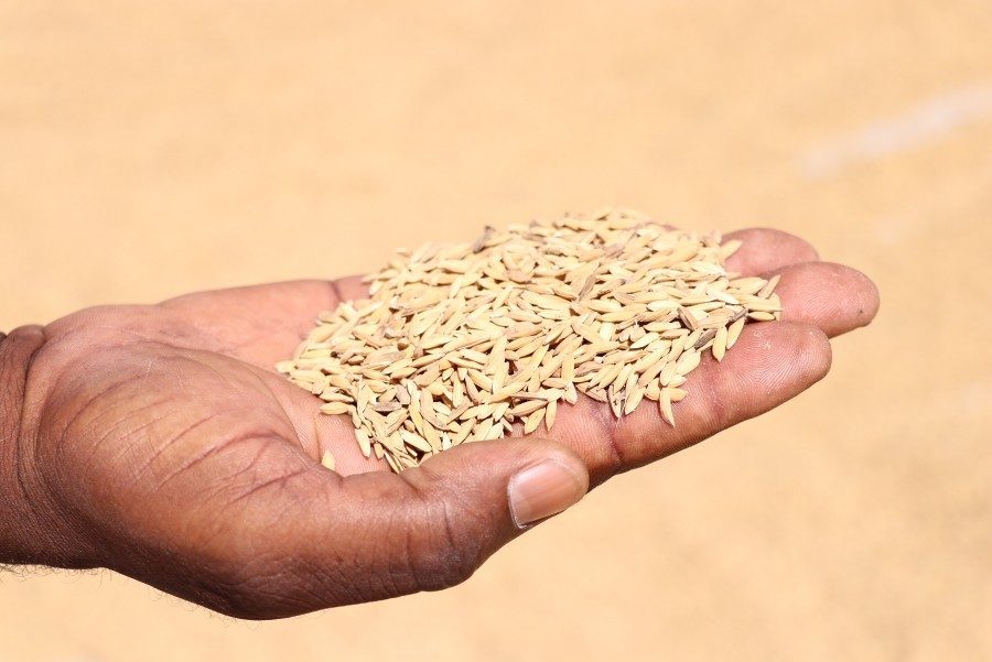 The Strategic Grain Reserve for Your Living Room - World Food Program USA