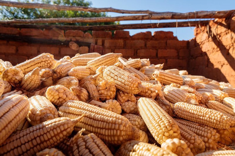 8 Facts About How Food Waste and Global Hunger Are Connected