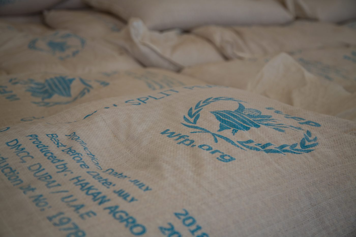 WFP and Crisis Group Partner to Support Pathways to Peace